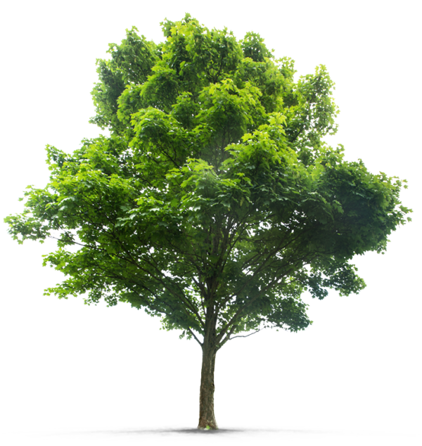 Research-Backed Analysis of Ripper Casino - Gaming Infrastructure ...